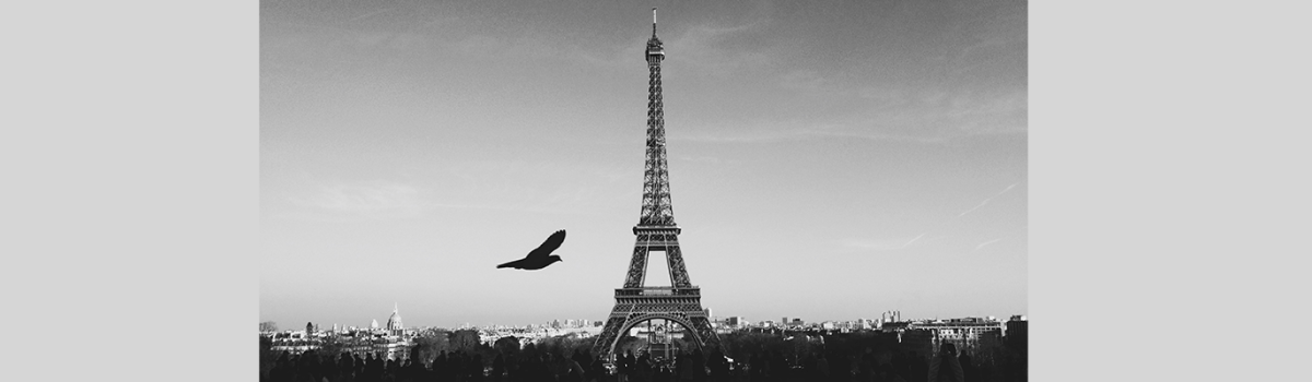 Le management à la française : comment sortir d’un schéma décrié ? - NEOMA